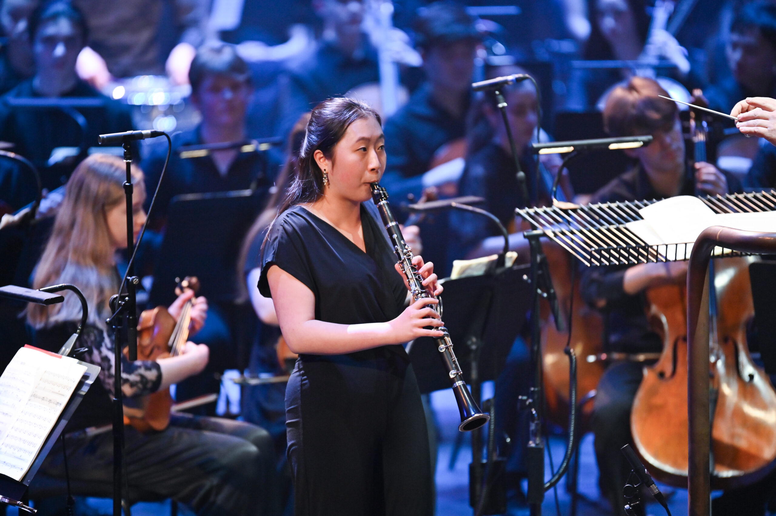 Emotions Donate - The National Youth Orchestra